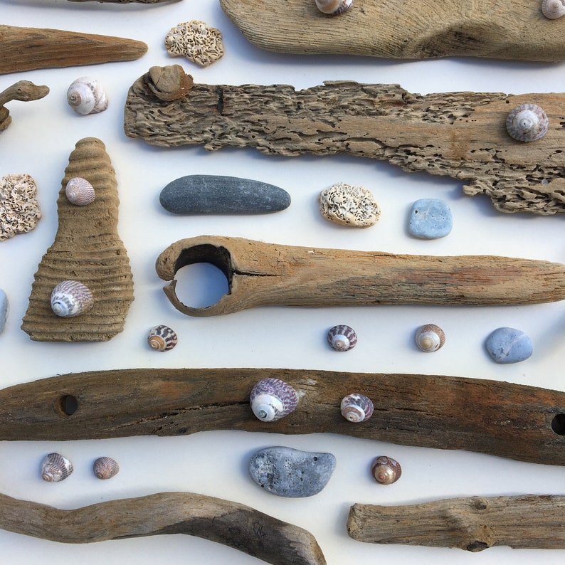 Driftwood and Shell Art 46cm X 46cm Framed Coastal Art - Etsy