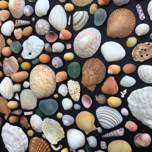 Heart, 43cm X 43cm, Shell Heart, Cornish Shells, Shell Art, Coastal ...