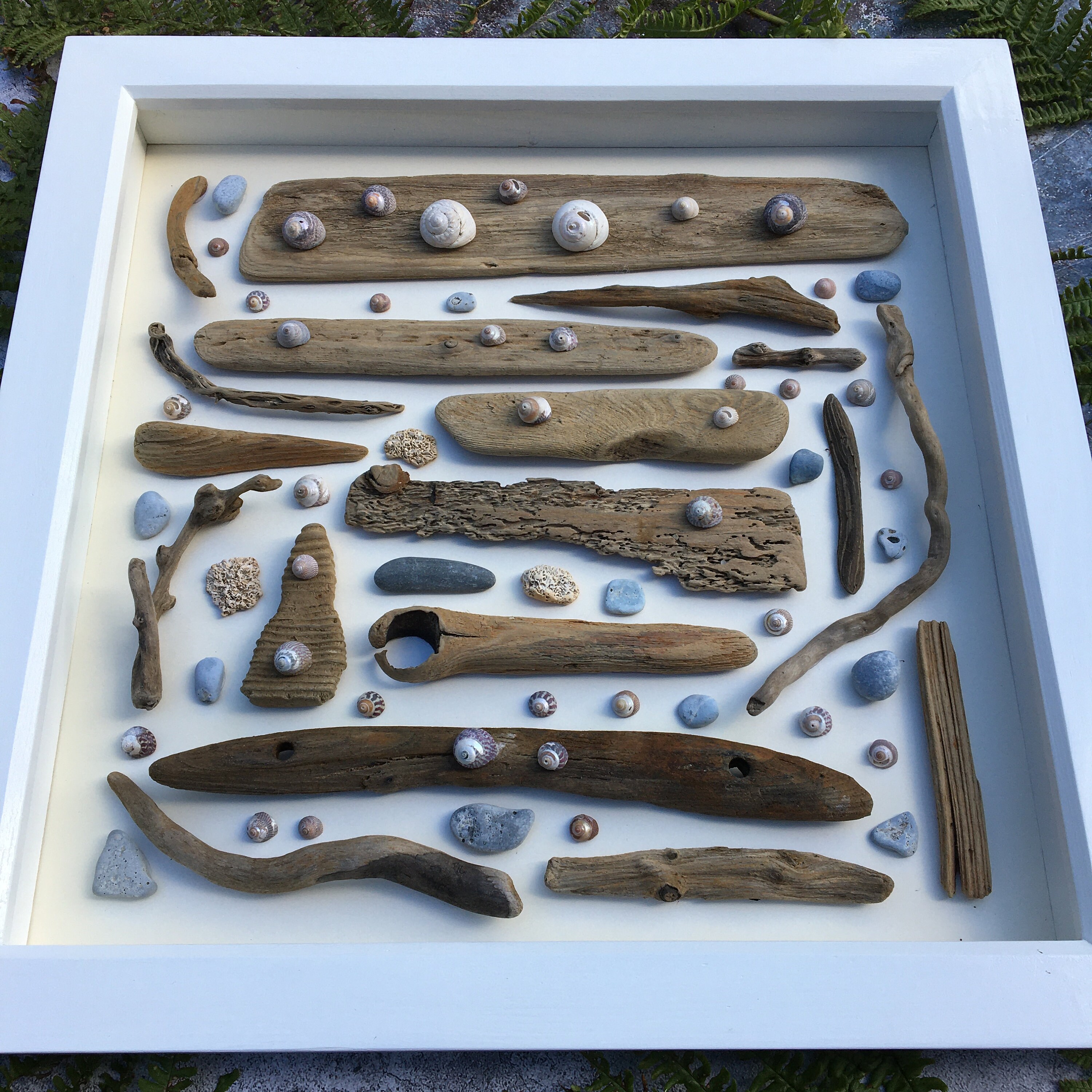 Driftwood and Shell Art 46cm X 46cm Framed Coastal Art - Etsy UK