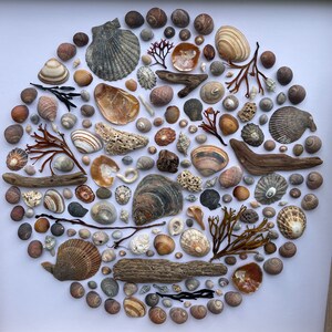 Rockpool A Celebration of the UK Coast, Coastal Art, Coastal Wall Decor ...