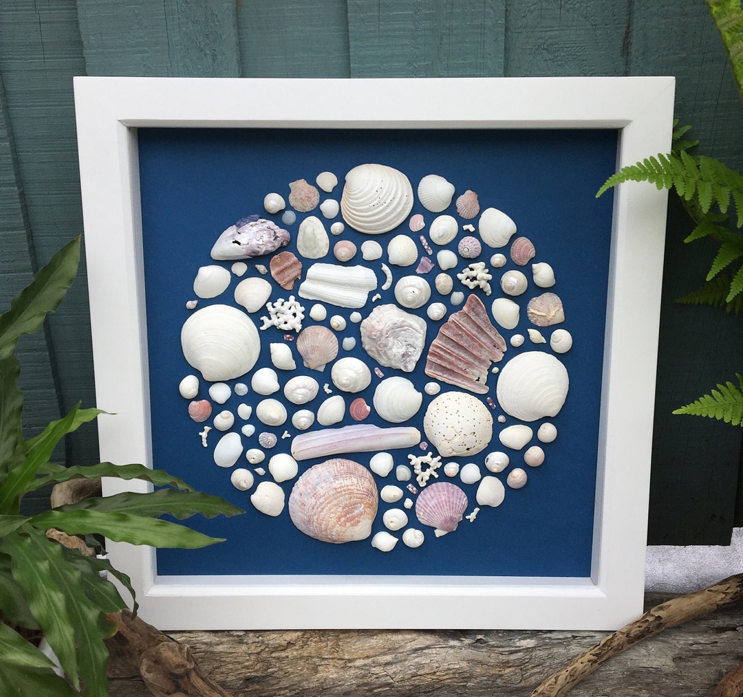 Rockpool A Coastal Celebration, Coastal Art, Coastal Wall Decor, Shell ...