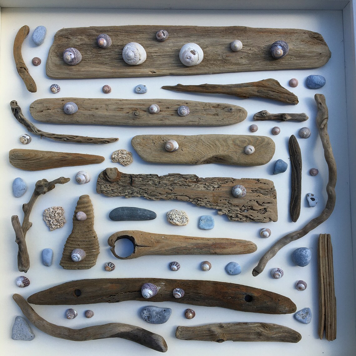 Driftwood and Shell Art 46cm X 46cm Framed Coastal Art - Etsy