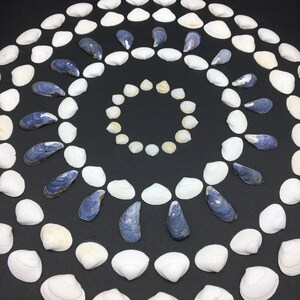 Shell Mandala in Black and White, 37cm X 37cm, Coastal Art, Coastal ...