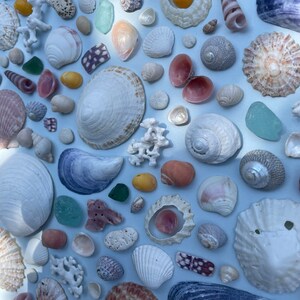 Rockpool A Coastal Dream, Coastal Art, Coastal Wall Decor, Shell Art ...