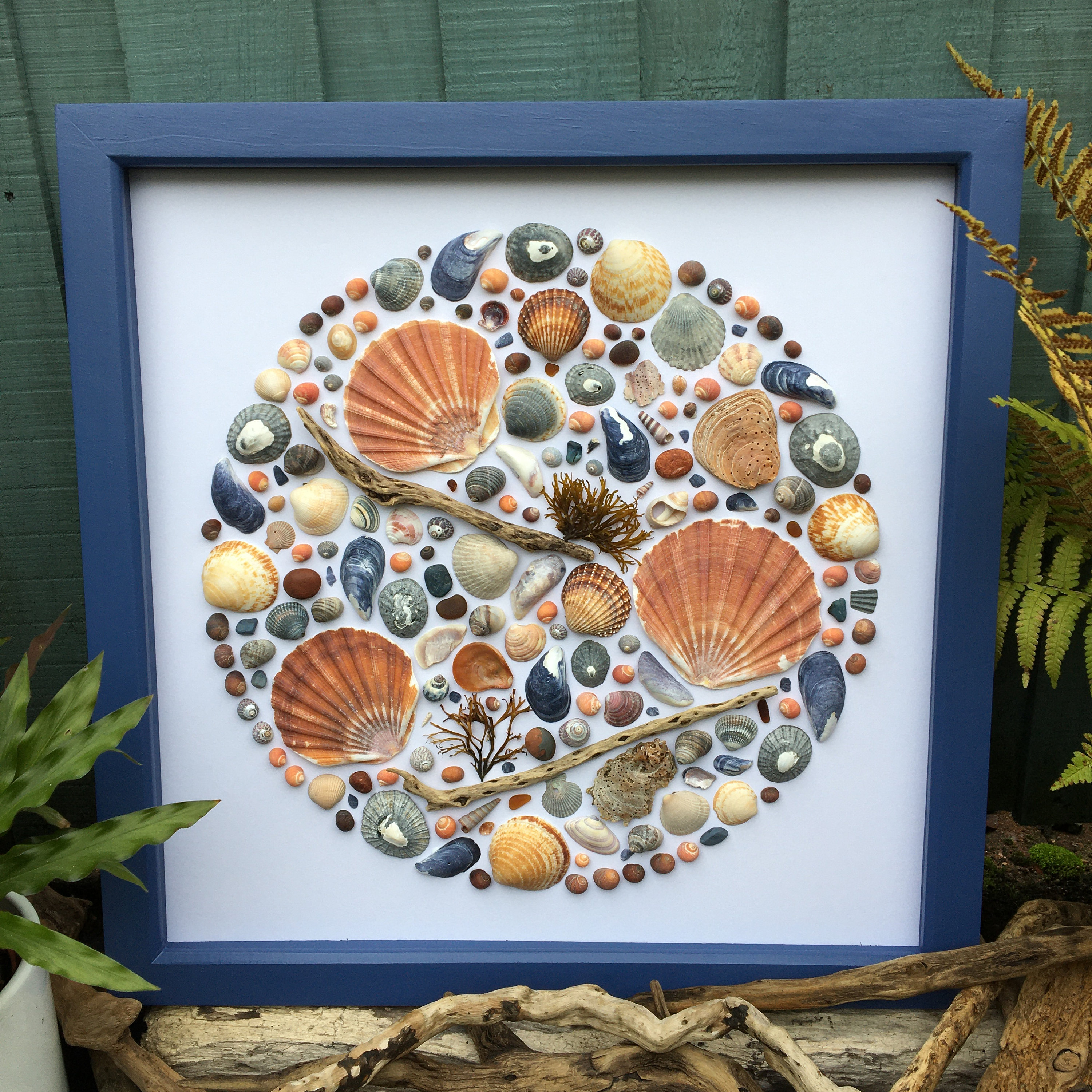 Rockpool Coastal Art: UK Seashell & Driftwood Wall Decor - Etsy