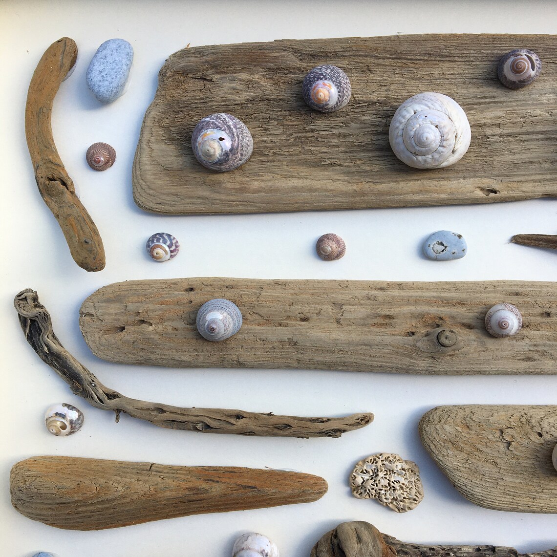 Driftwood and Shell Art 46cm X 46cm Framed Coastal Art - Etsy