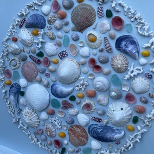 Rockpool A Coastal Dream, Coastal Art, Coastal Wall Decor, Shell Art ...
