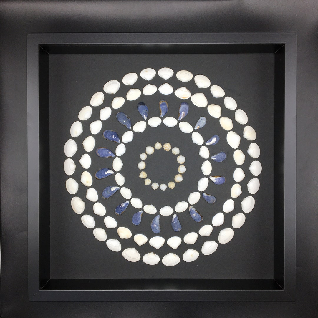 Shell Mandala in Black and White, 37cm X 37cm, Coastal Art, Coastal ...