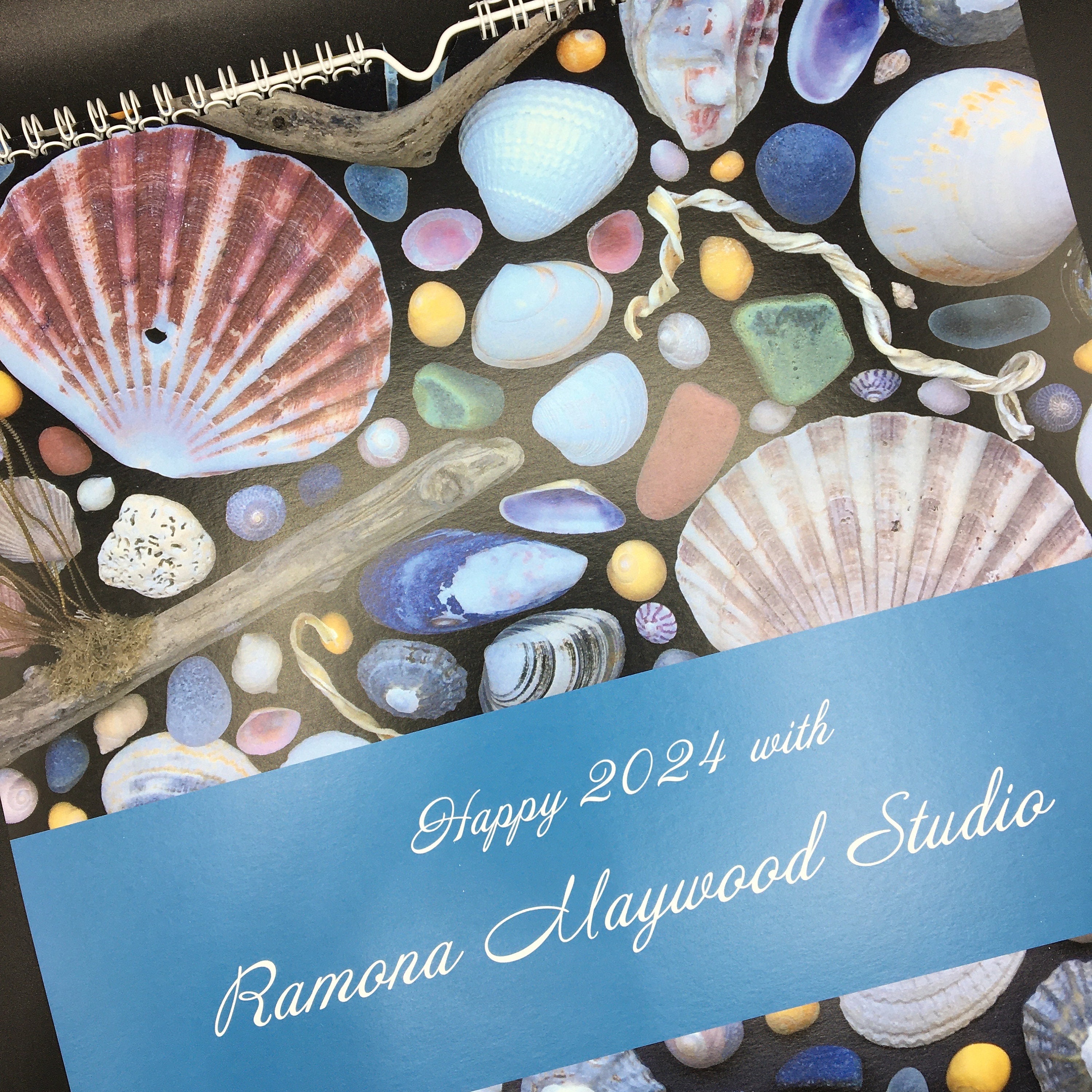 Calendar 2024 Shell Calendar 2024 Planner Shell Lover - Etsy Australia