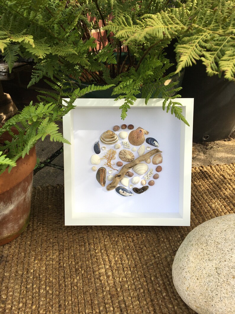 Shell Picture Rock Pool in Natural Colours Scottish Shells - Etsy UK