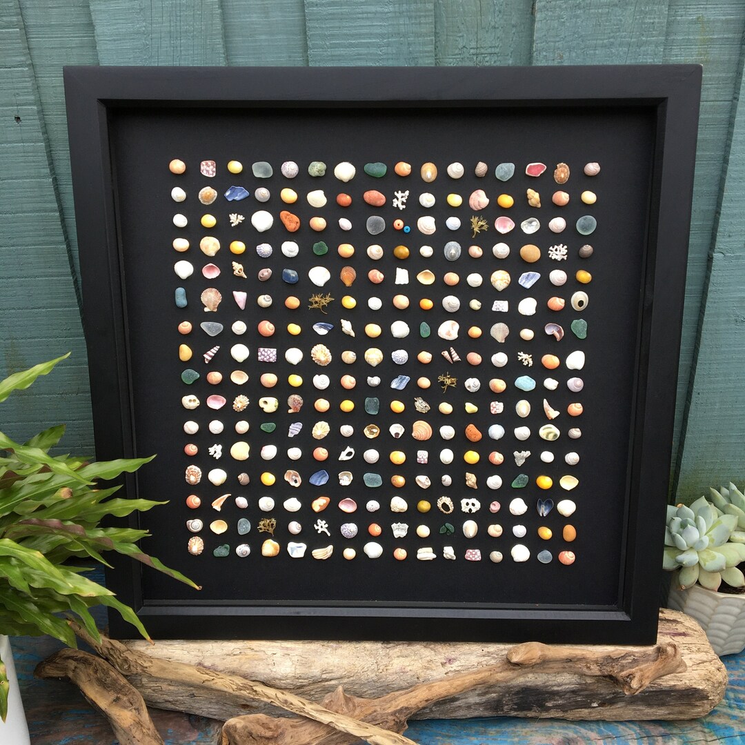 Coastal Treasures Coastal Art Shell Art Beach Decor - Etsy