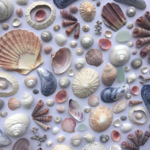 Rockpool in Blue, White and Pink, Coastal Art, Coastal Wall Decor ...