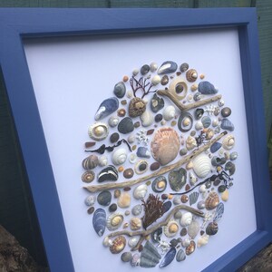Rockpool, 43cm X 43cm, Scottish Shells, Shell Art, Coastal Gift, Wall ...