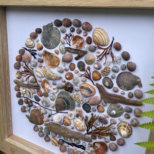 Rockpool A Celebration of the UK Coast, Coastal Art, Coastal Wall Decor ...