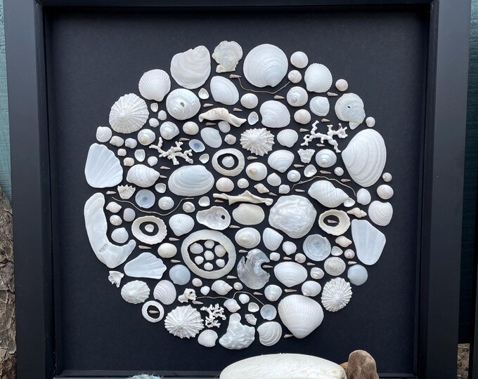 Rockpool - White, Coastal Art, Coastal Wall Decor, Shell Art, Seaside ...