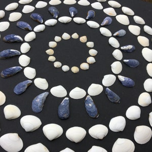 Shell Mandala in Black and White, 37cm X 37cm, Coastal Art, Coastal ...