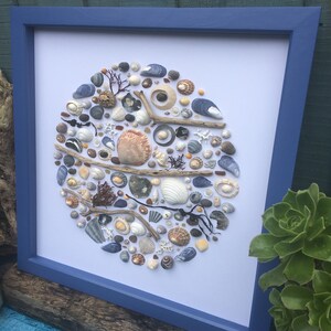 Rockpool, 43cm X 43cm, Scottish Shells, Shell Art, Coastal Gift, Wall ...