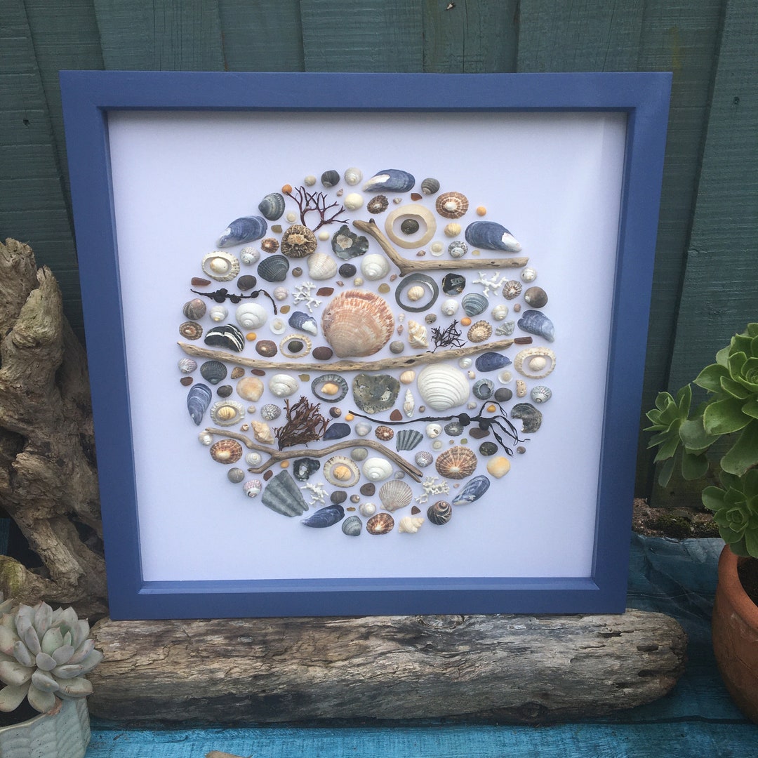 Rockpool, 43cm X 43cm, Scottish Shells, Shell Art, Coastal Gift, Wall ...