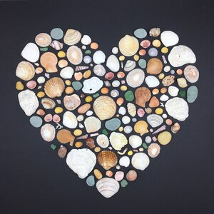 Shell Heart Wall Art: Cornish Coastal Decor (43cm) - Etsy