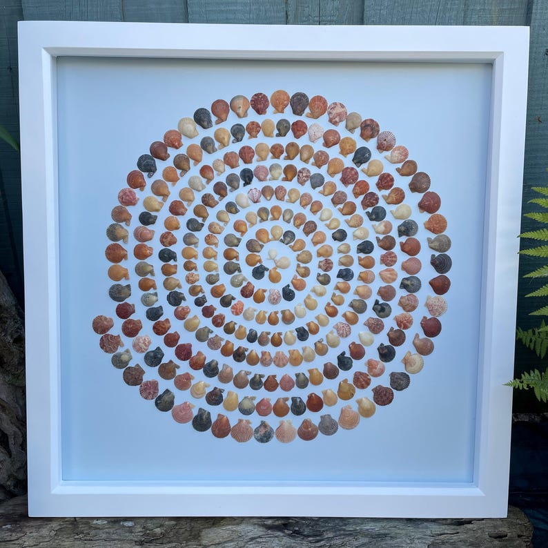 Queenie Scallop Shell Spiral Art: Coastal Wall Decor (18x18 Inch) - Etsy