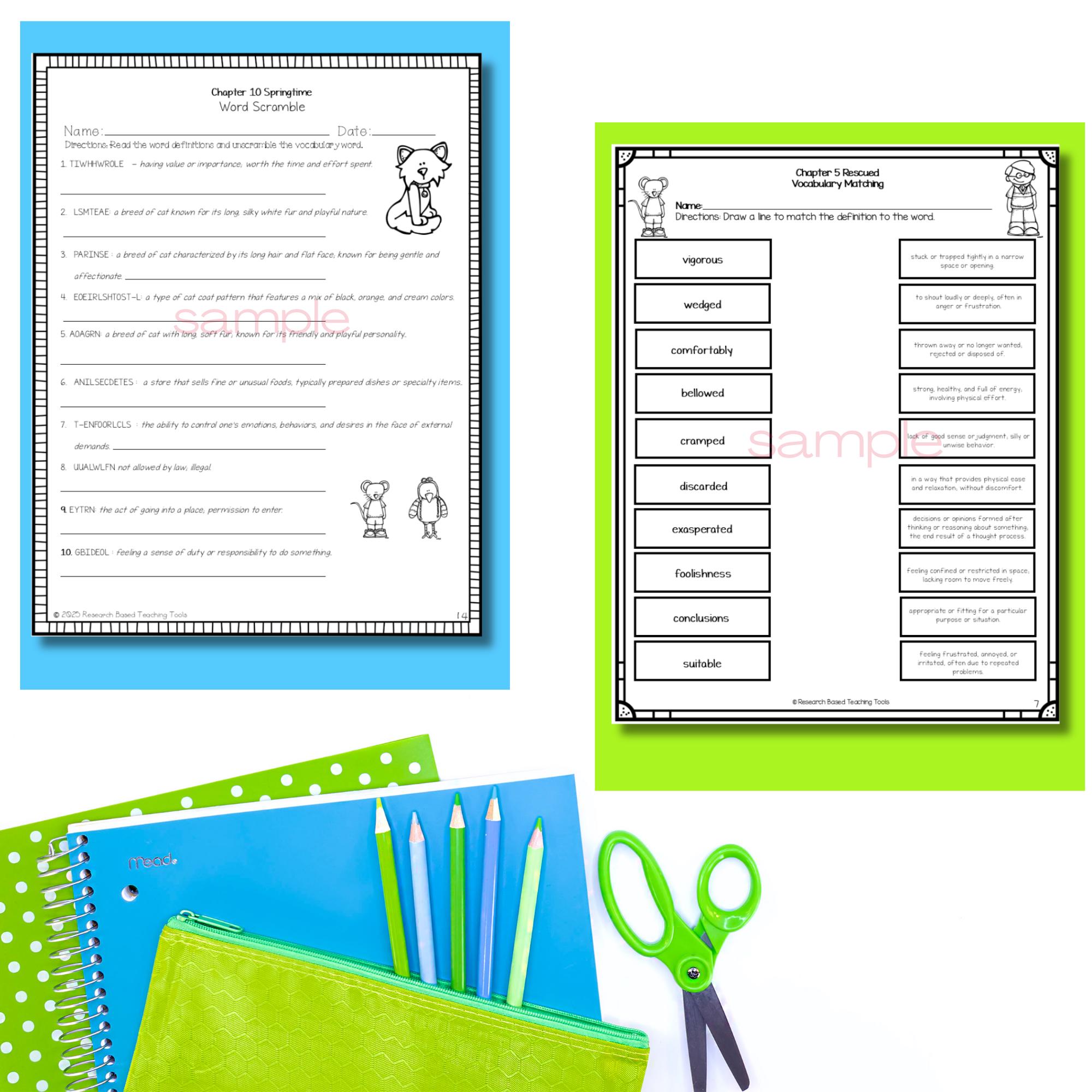 Stuart Little Vocabulary Activities | Engaging Novel Study Word Work - Etsy