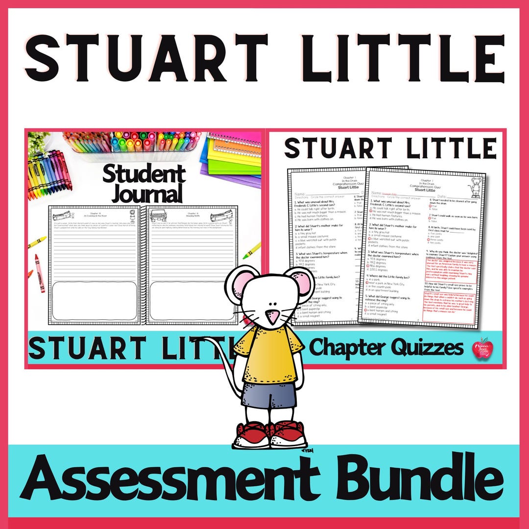 Stuart Little Novel Study: Engaging Activities for Young Readers ...