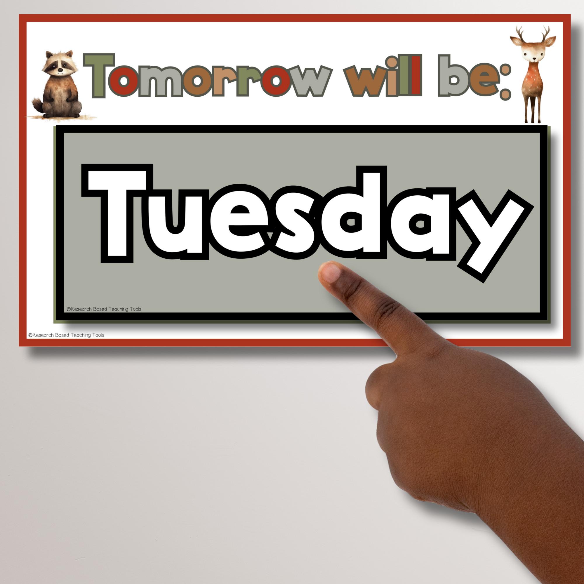 Woodland Animal Classroom Calendar Set: Forest Theme Decor With Weather ...