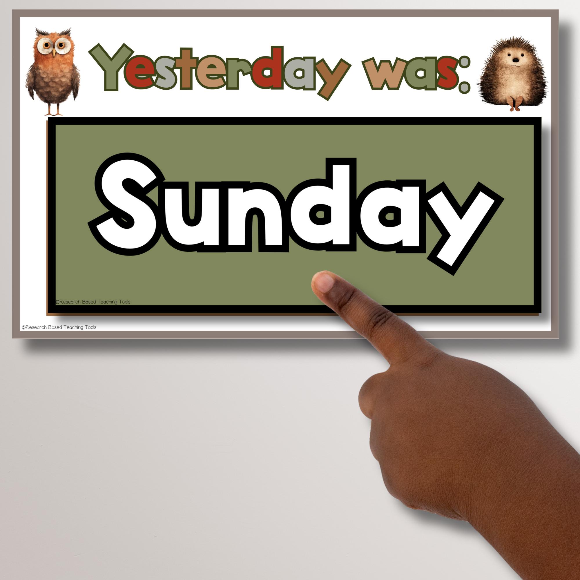Woodland Animal Classroom Calendar Set: Forest Theme Decor With Weather ...