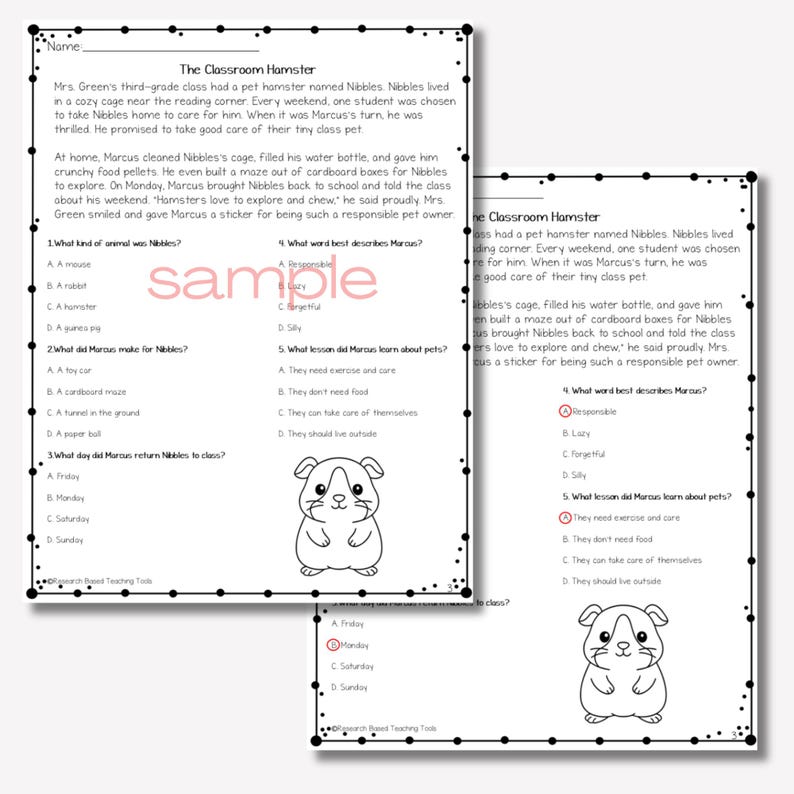 3rd Grade Reading Comprehension Workbook: Passages, Questions, Answer ...
