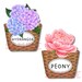 Preschool Flower Shop Dramatic Play Set: Imaginative Learning for Kids ...