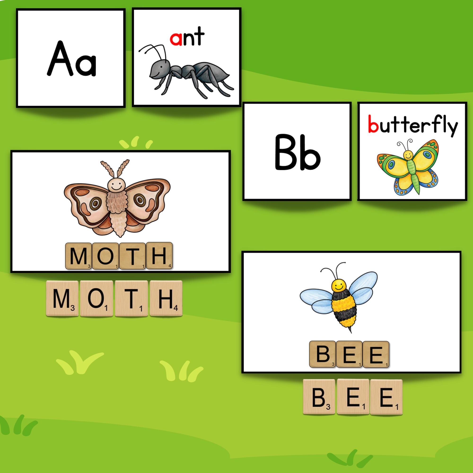 Insect Alphabet & Fine Motor Literacy Bundle | Hands-on Pre-k and K ...