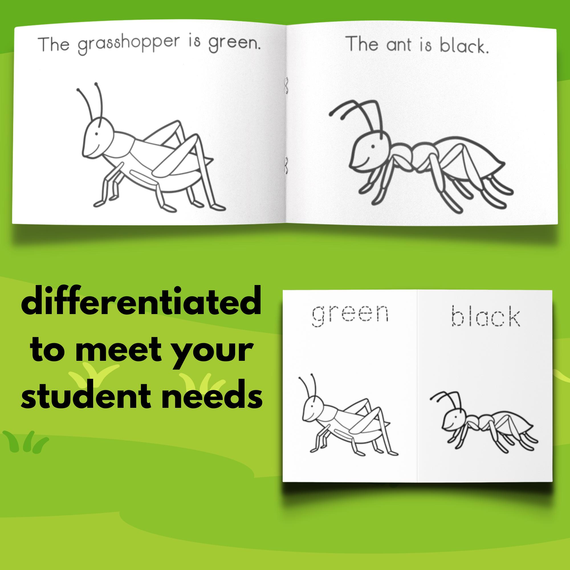 Insect Alphabet & Fine Motor Literacy Bundle | Hands-on Pre-k and K ...