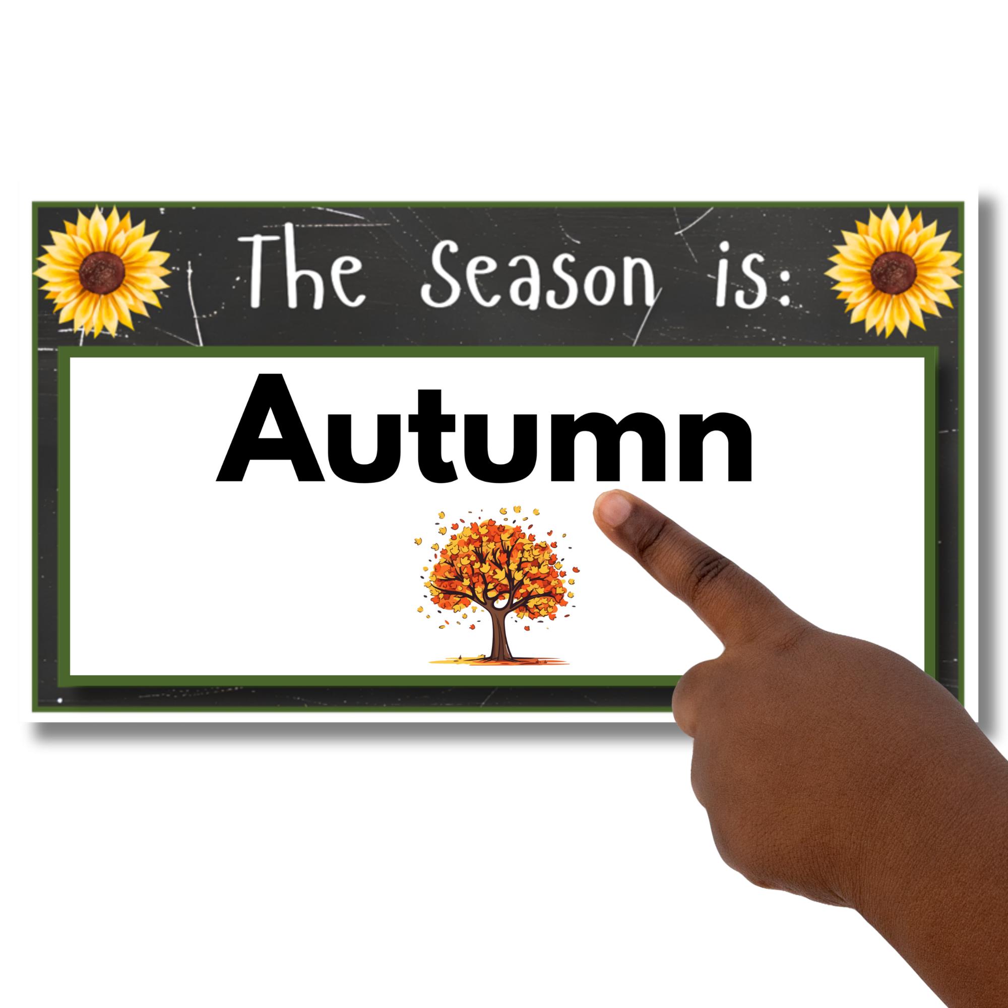 Sunflower Classroom Decor Set: Calendar, Birthday Chart, Weather ...