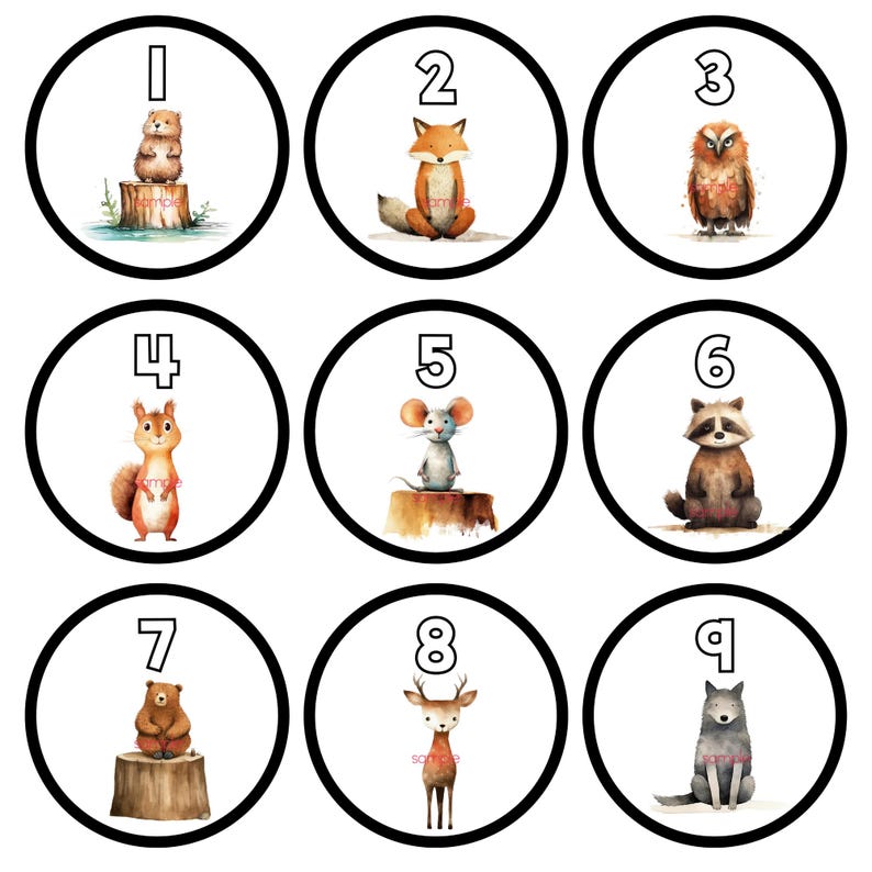 Woodland Animal Classroom Calendar Set: Forest Theme Decor With Weather ...