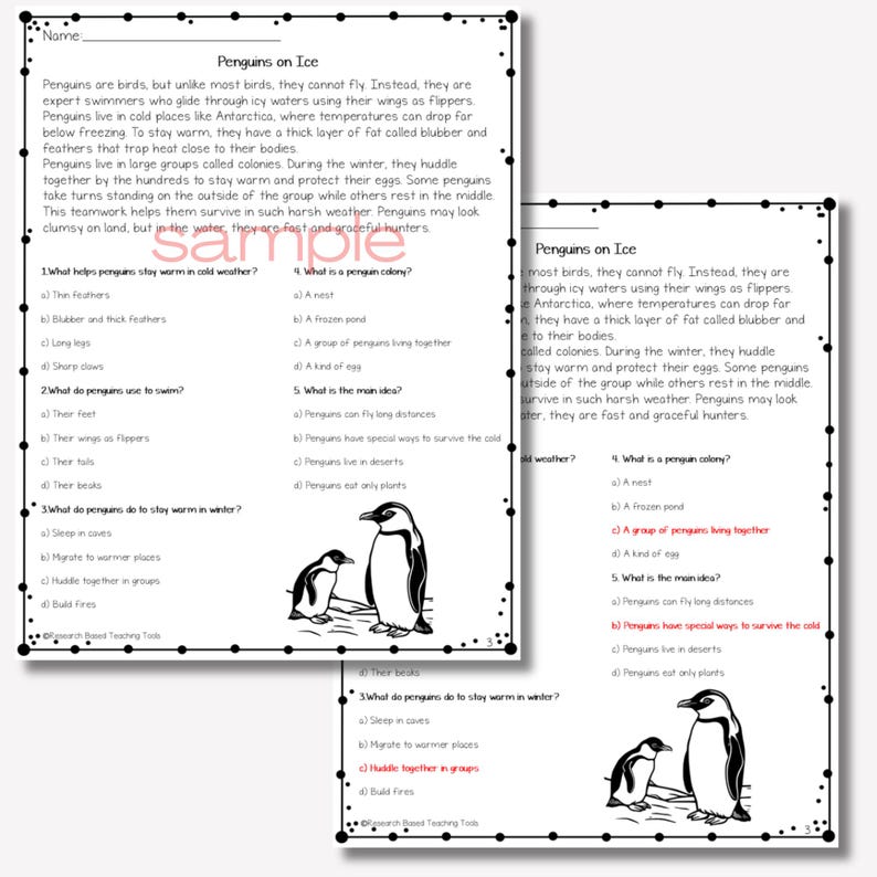 4th Grade Reading Comprehension Passages With Questions & Answer Keys ...