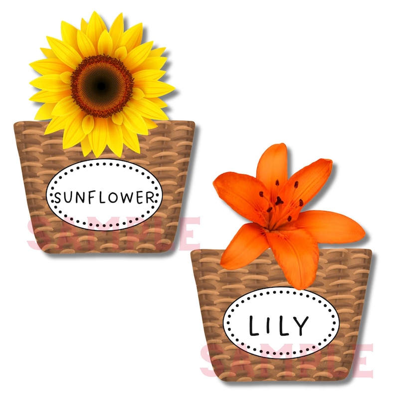 Preschool Flower Shop Dramatic Play Set: Imaginative Learning for Kids ...