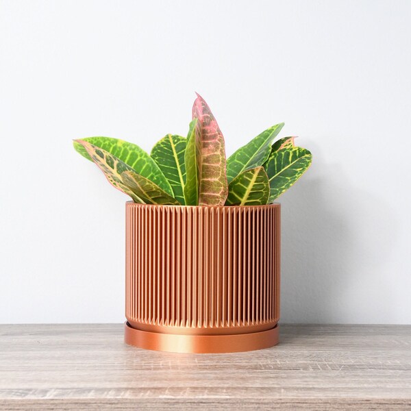 7 Inch Pot Plant - Etsy