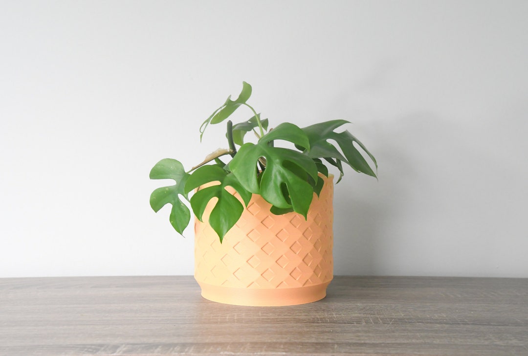 Wallflower Planter With Drainage & Saucer in Orange Sherbet, Unique 3d ...