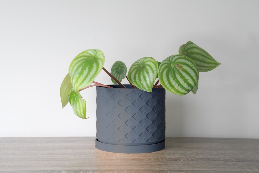 Wallflower Planter With Drainage & Saucer in Stone Blue, Unique 3d ...