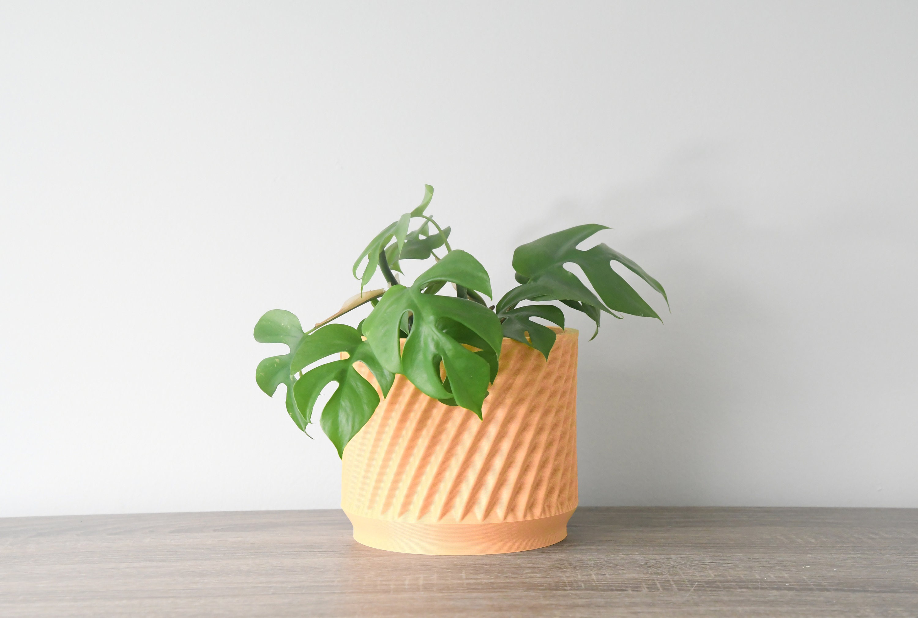 Penelope Planter With Drainage & Saucer in Orange Sherbet, Unique 3d ...