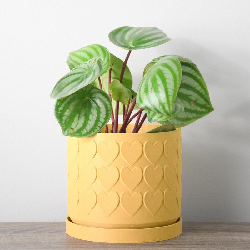 Heart Flower Pot - Etsy