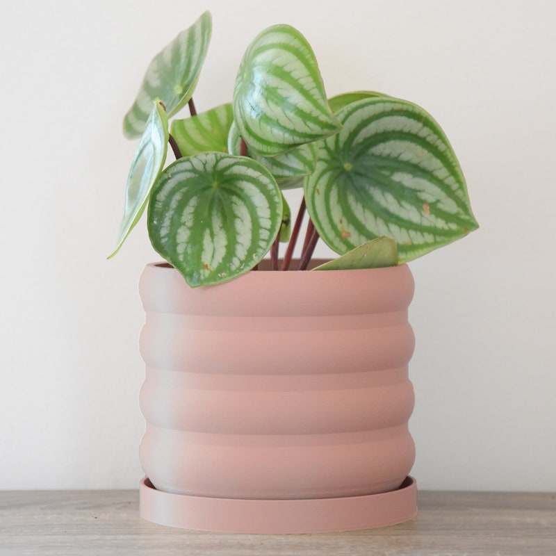 Pink Planter - Etsy
