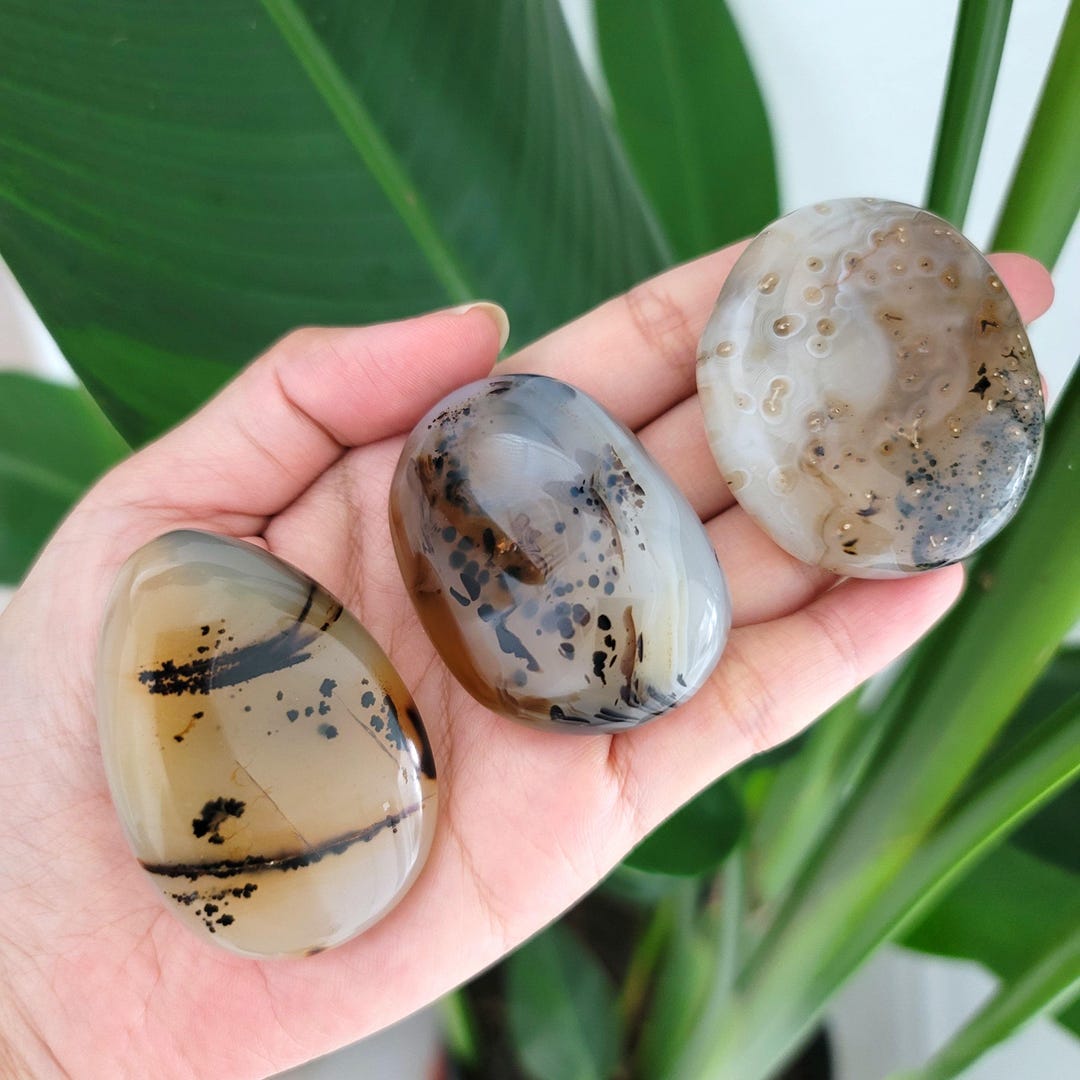 Dendritic Agate Palm Stone • Agate Palm Stone - 2" Healing Palmstone ...
