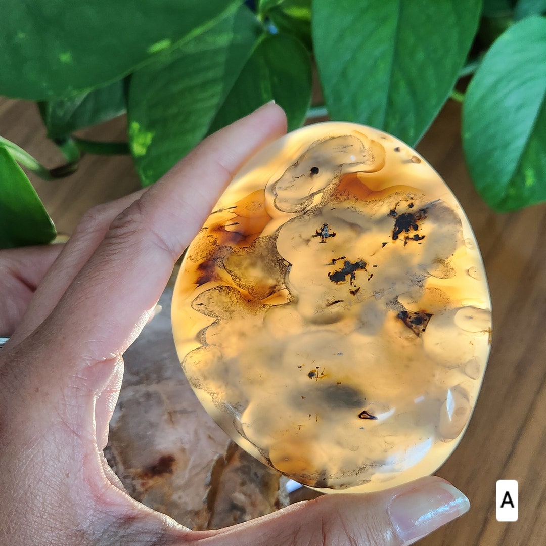 Dendritic Agate Palm Stone • Agate Crystal Palmstone - Dendritic ...