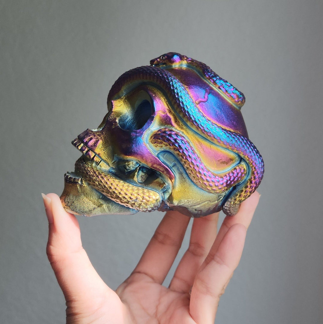 Rainbow Titanium Aura Skull 4.5 Black Obsidian Skull Aura Alter Skull ...