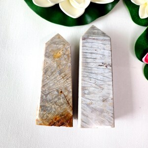 Coral Jade Tower • 5" Coral Jade Crystal Point • Crystal Home ...