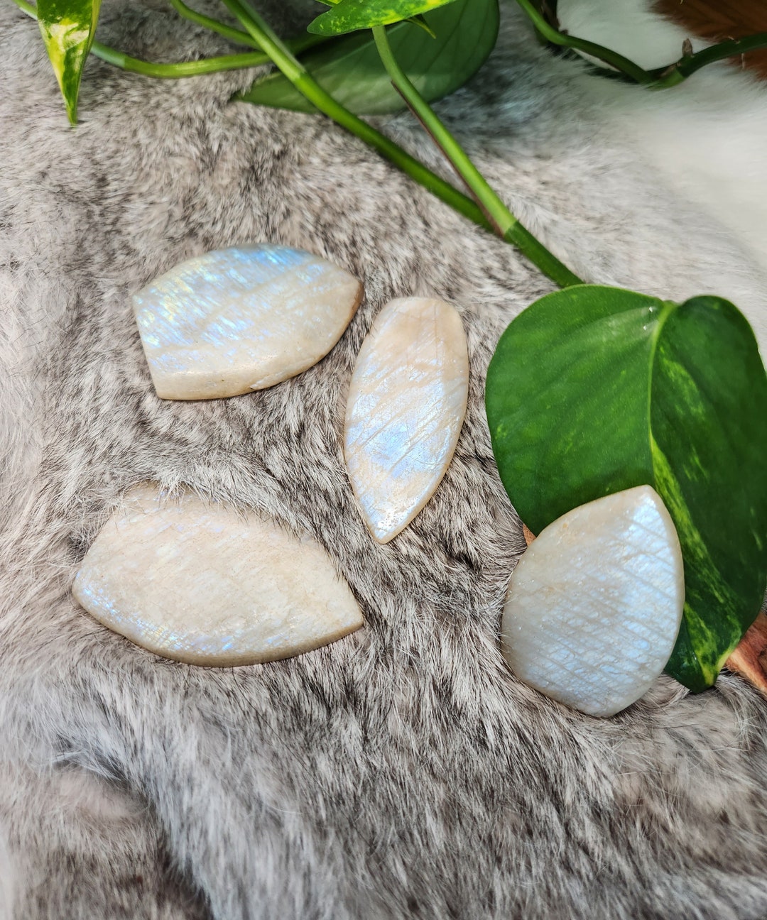 Moonstone Freeform • White Moonstone Free Form - White Moonstone ...