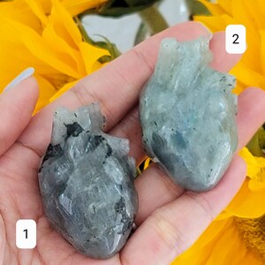 Anatomical Human Heart Crystal Human Heart Crystal 2 - Etsy