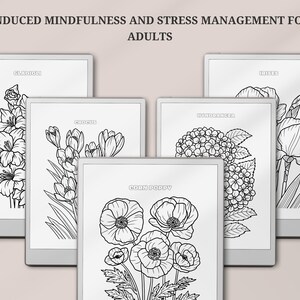 Coloring Book Bundle for Remarkable Paper Pro, Mindfulness Book for ...
