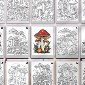 Ultimate Coloring Book Bundle for Remarkable Paper Pro | Mindfulness ...